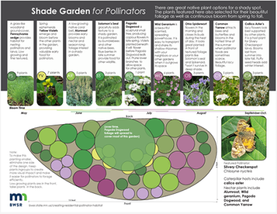 How To Plant A Pollinator Garden Sargent s Nursery