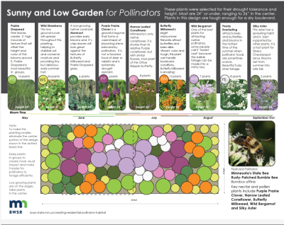 How to Plant a Pollinator Garden - Sargent's Nursery