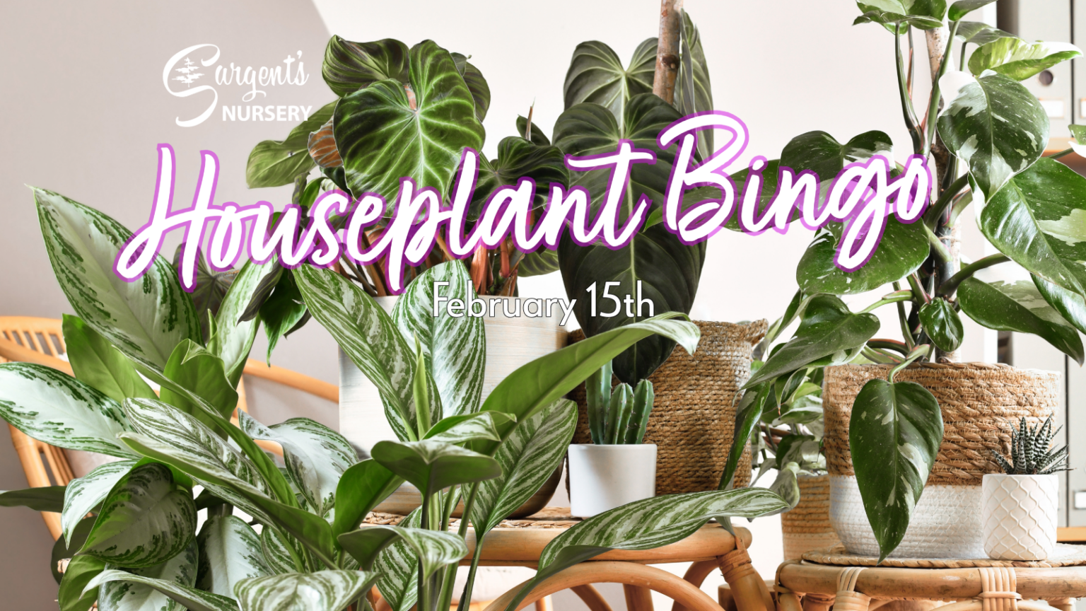 Houseplant Bingo- Sargent's Nursery