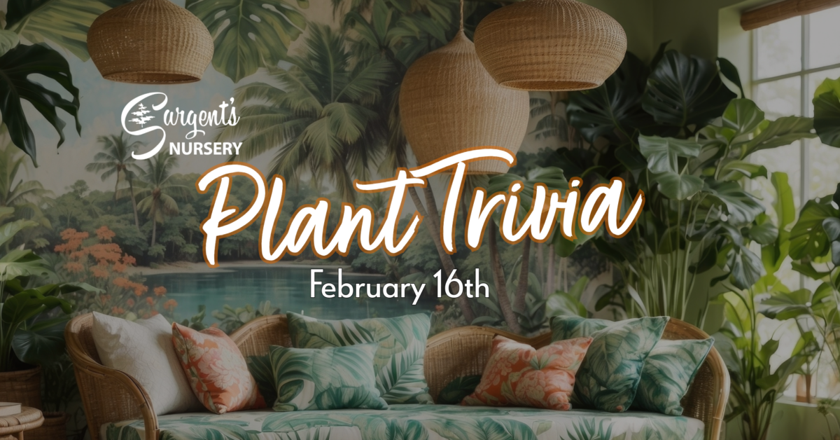 Plant Trivia-Sargent's Nursery